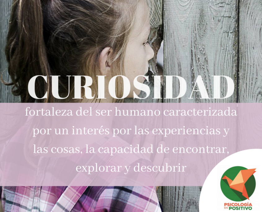 Qué es Curiosidad